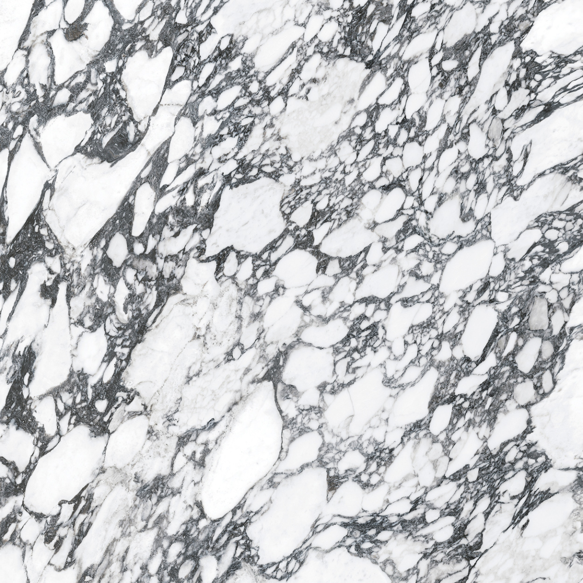 Arabescato – SIXmm